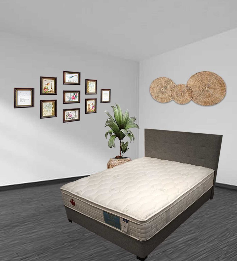 Vogue Bed – Kalachand Bedding World